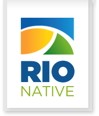 Tours of Brazil | Rio Native